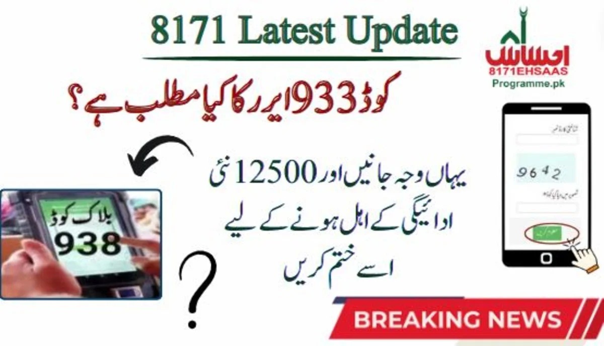 CNIC Check Showing 933 Code Error - Fixed Your Problem!